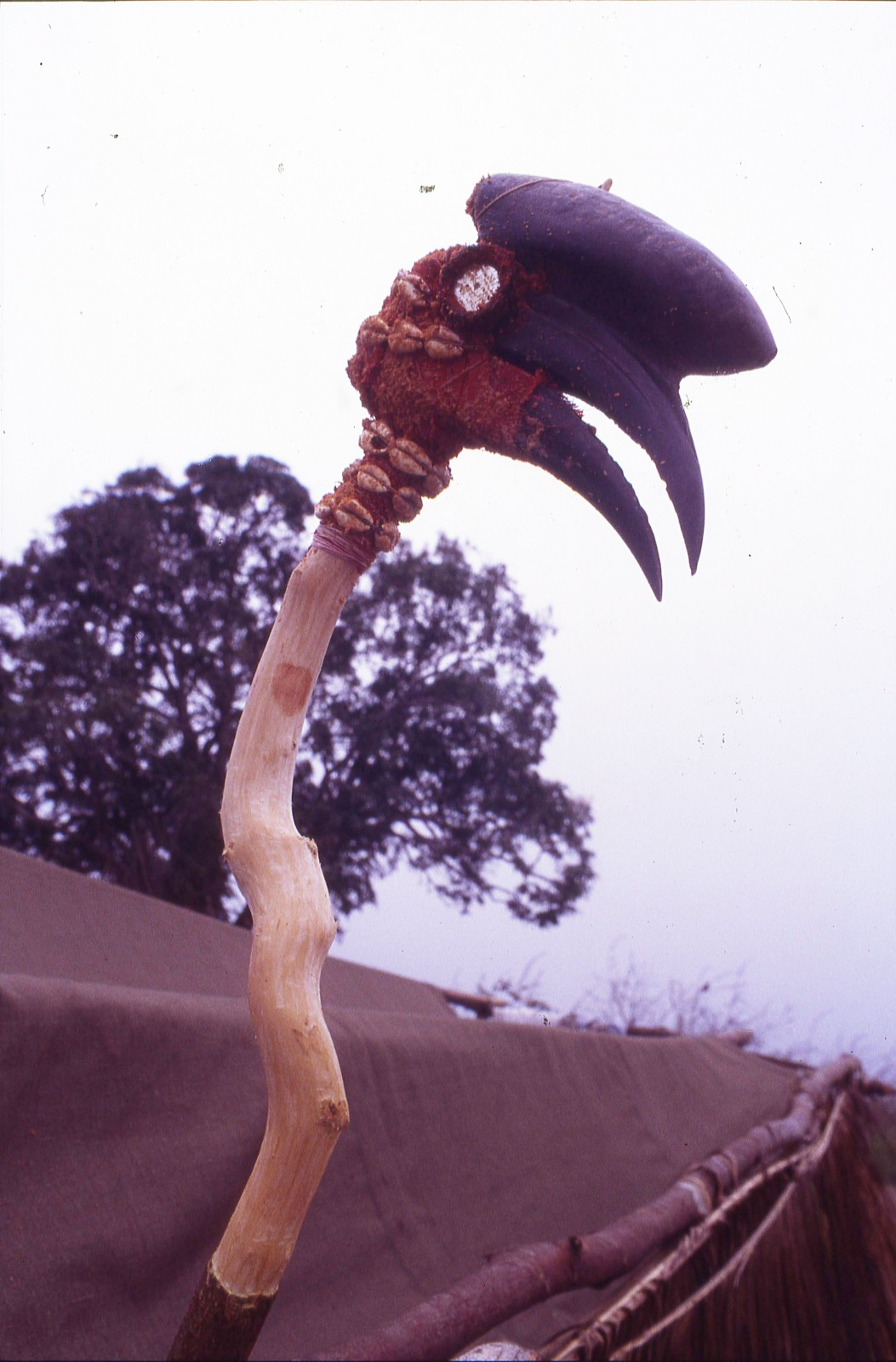 Gabon: 2003 La societe secrete du Mwiri Le Mwiri, portfolio de Laurent ...