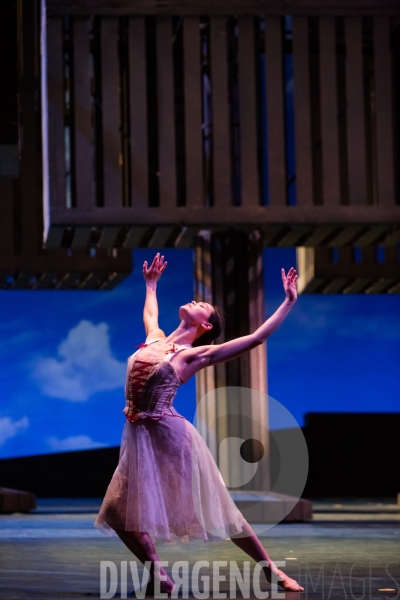 Le parc - Angelin Preljocaj - Ballet de l'Opéra national de Paris par ...