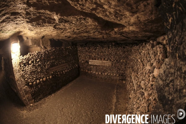 Les catacombes de paris par Frédéric REGLAIN - Photographie FR1090043 ...