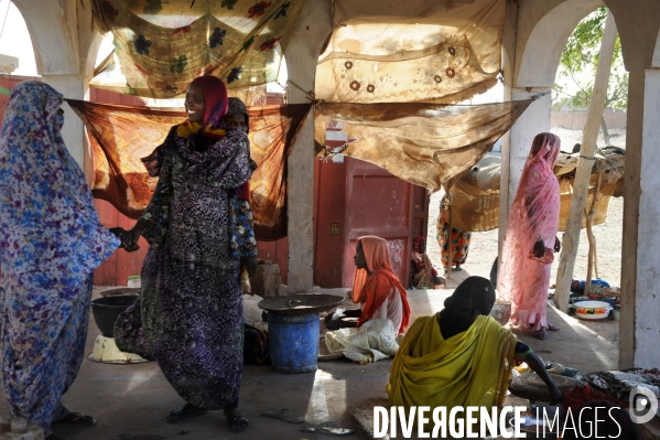 Les Goranes peuple d'éleveurs nomades dans le Massif de l'Ennedi au ...
