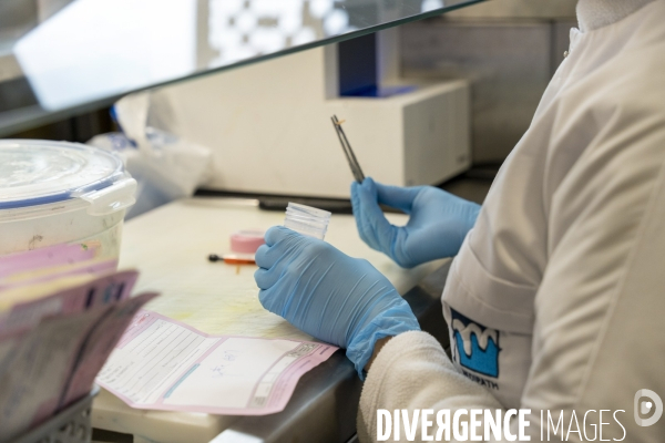 Depistage du cancer avec médecin pathologiste ou anapath. Site de ...