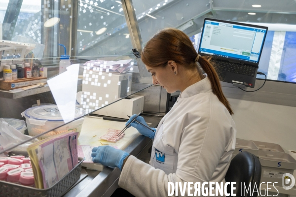 Depistage du cancer avec médecin pathologiste ou anapath. Site de ...