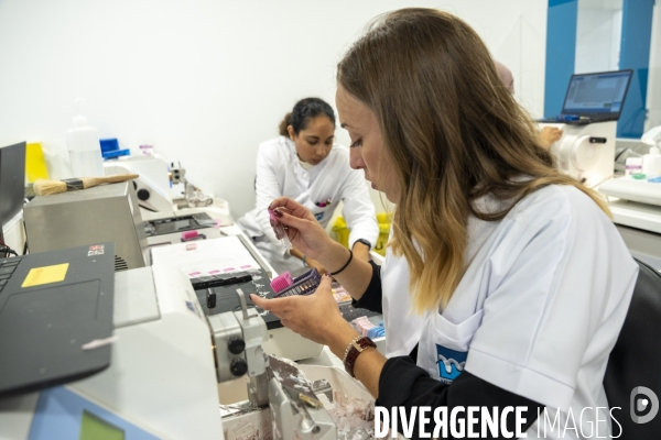 Depistage du cancer avec médecin pathologiste ou anapath. Site de ...