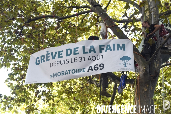 Le cordiste arboriste Thomas BRAIL du GNSA fait une grève de la faim ...