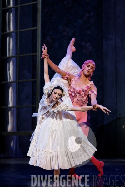 Le Spectre de la Rose par Agathe POUPENEY - Photographie APO056511 ...