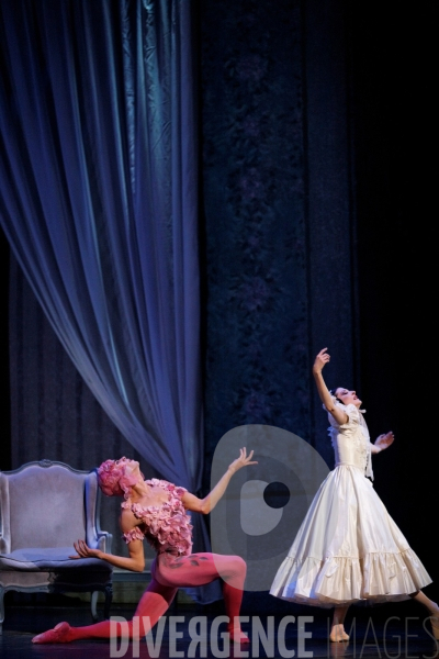 Le Spectre de la Rose par Agathe POUPENEY - Photographie APO056520 ...