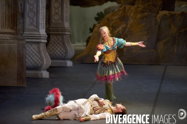 RENAUD ET ARMIDE de Vincent Tavernier et Marie-Geneviève Massé par ...