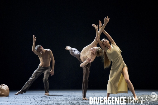 SACRE de Sasha Waltz - Ballet du Théâtre Mariinsky par Laurent PHILIPPE ...