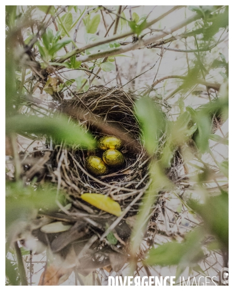 Piaf Story ( les oeufs de Pâques ) par Eric FRANCESCHI - Photographie ...